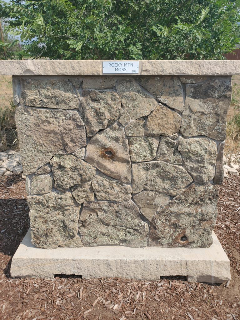 Column #109; Rocky Mountain Moss - Delta Stone Products